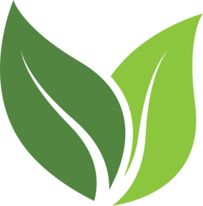 ADDY Focus - Addy - When Focus Matters