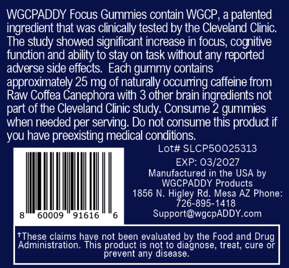 WGCP ADDY Focus Gummies - WGCPAddy
